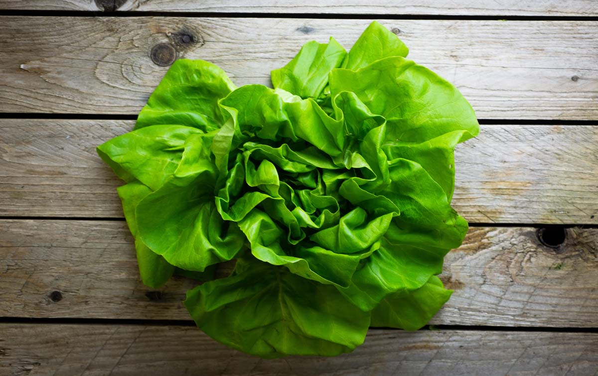 Flat lettuce | Food delivery in Plymouth - Veg Box Fresh